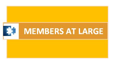 HICS-Advisory-Committee-Members-At-Large | EMSA